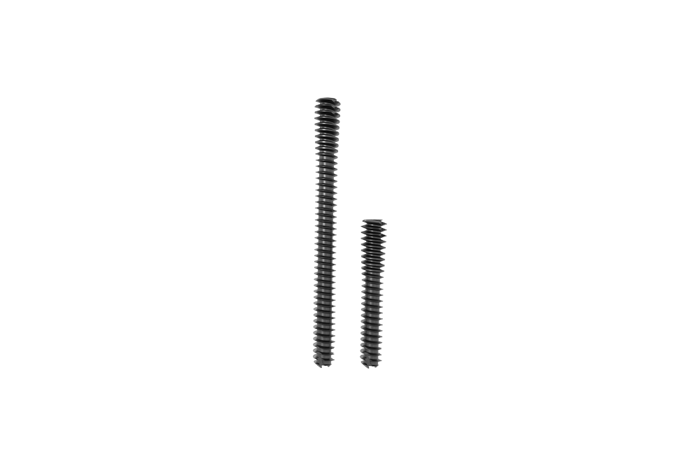 Cannulated Recon Cancellous Screw (CRCS) | ITS Implant - EN