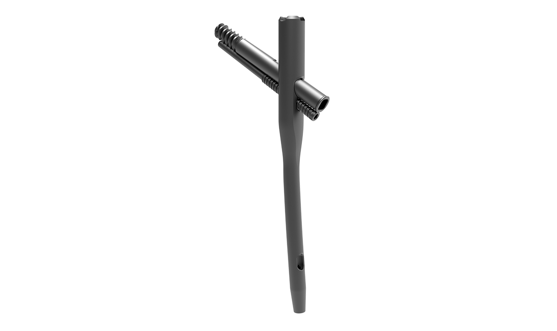 ITS Implant - EN | Pioneers For Orthopaedic Implants