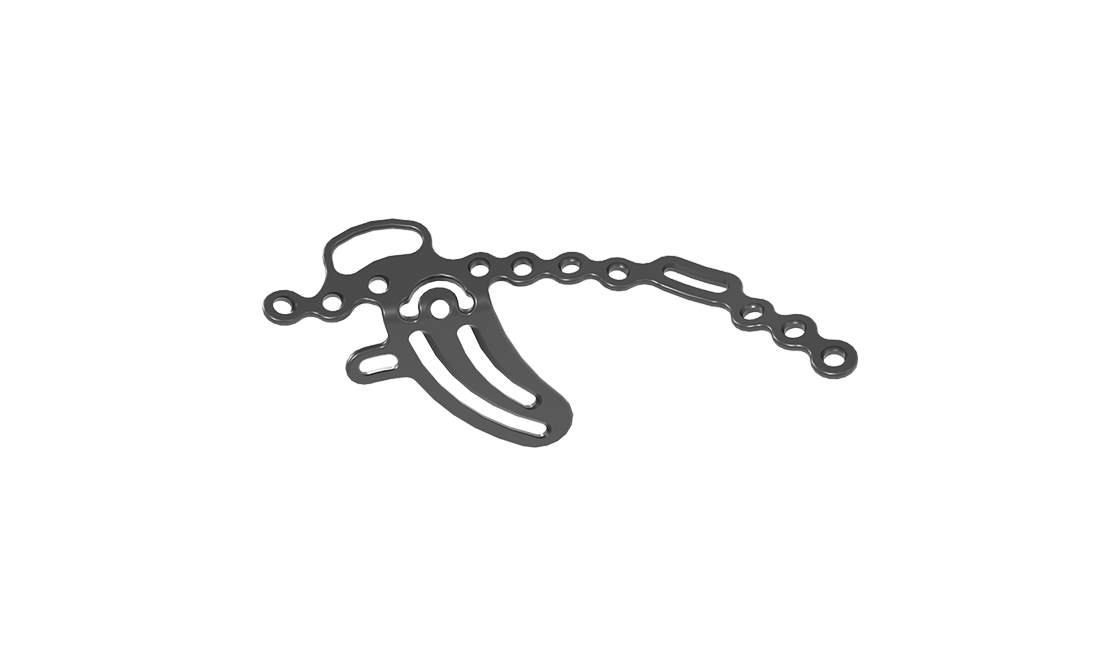 ITS Implant - EN | Pioneers For Orthopaedic Implants