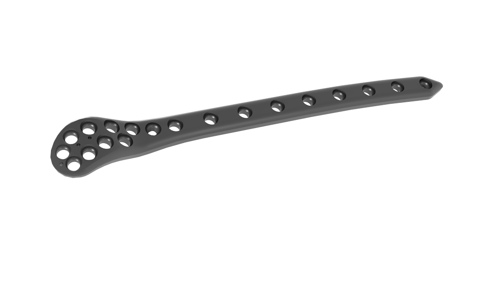 Distal Femur Locking System (DFL) | ITS Implant - EN