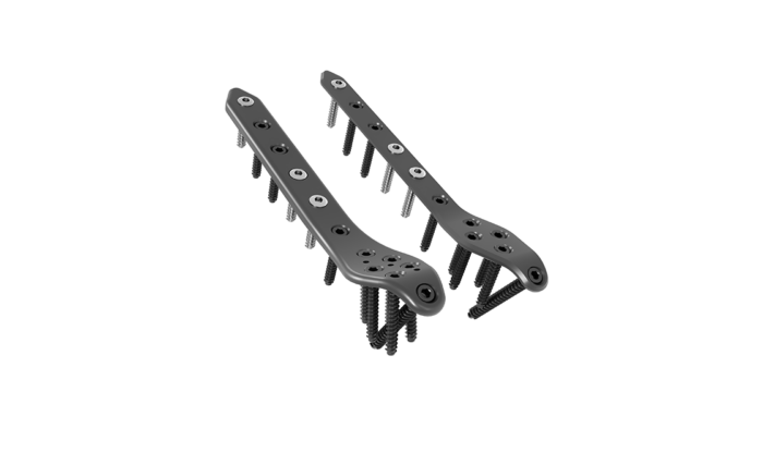 ITS Implant - EN | Pioneers For Orthopaedic Implants