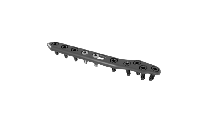 ITS Implant - EN | Pioneers For Orthopaedic Implants