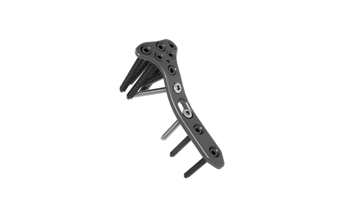 Products | ITS Implant - USA